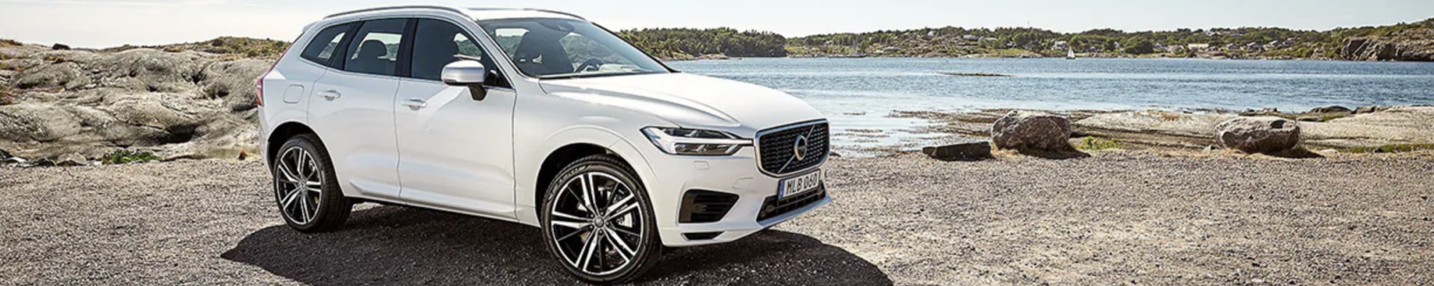 Epa raggare - Så känner du igen de & så blir du en [Guide]